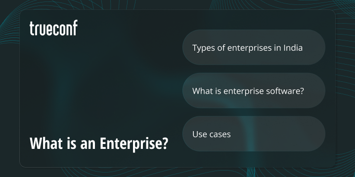 What is an Enterprise? Large-Scale Business Operations and Software Used